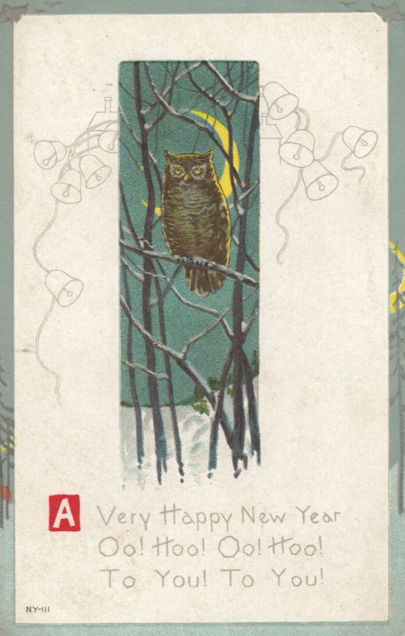 Owl New Year | MATTHEW'S ISLAND
