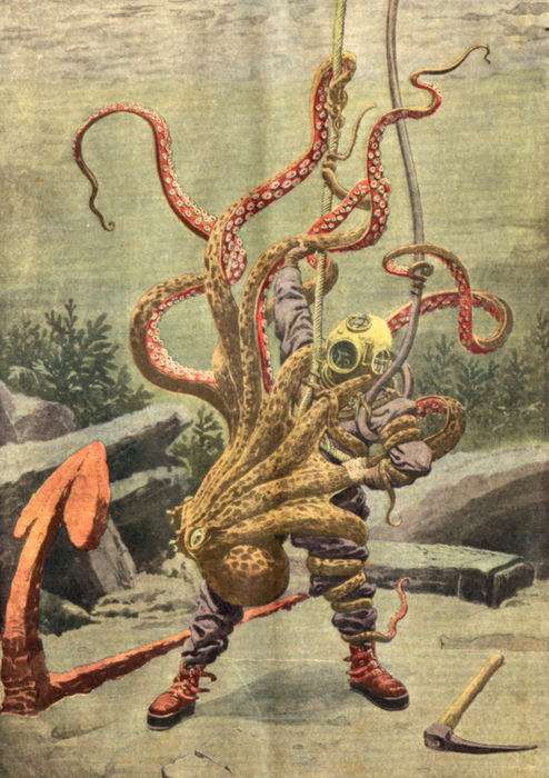 Octopus attack | MATTHEW'S ISLAND