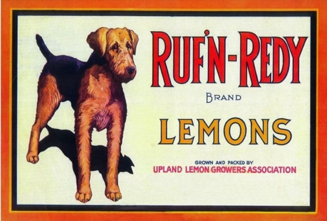 Old Lemon crate labels featuring dogs | MATTHEW'S ISLAND