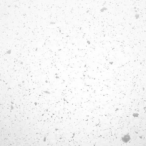 Snow falling (GIF) | MATTHEW'S ISLAND