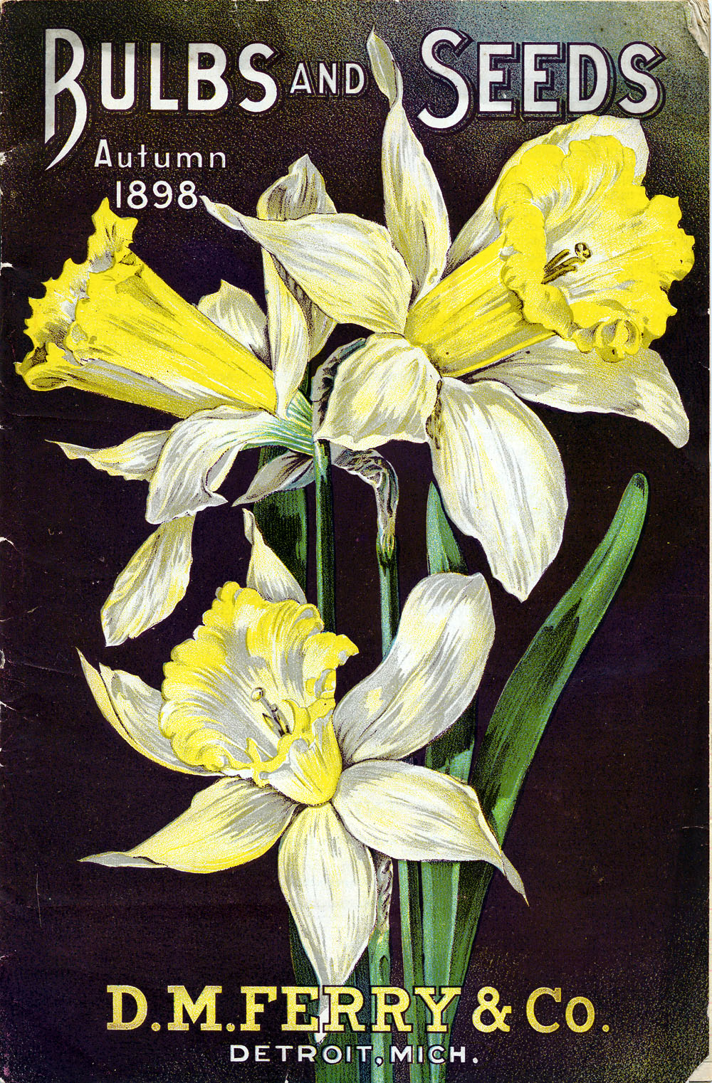 Catalogs for spring blooming bulbs, 1892-1906 | MATTHEW'S ISLAND
