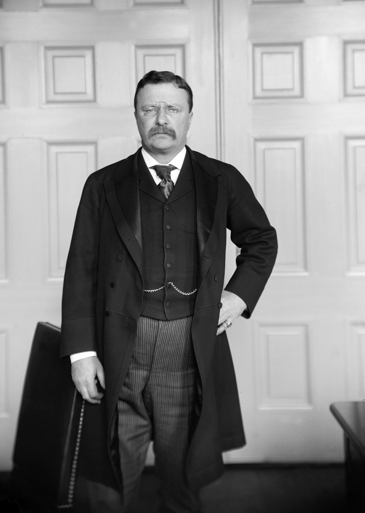 President Theodore Roosevelt and his deadly serious moustache | MATTHEW ...