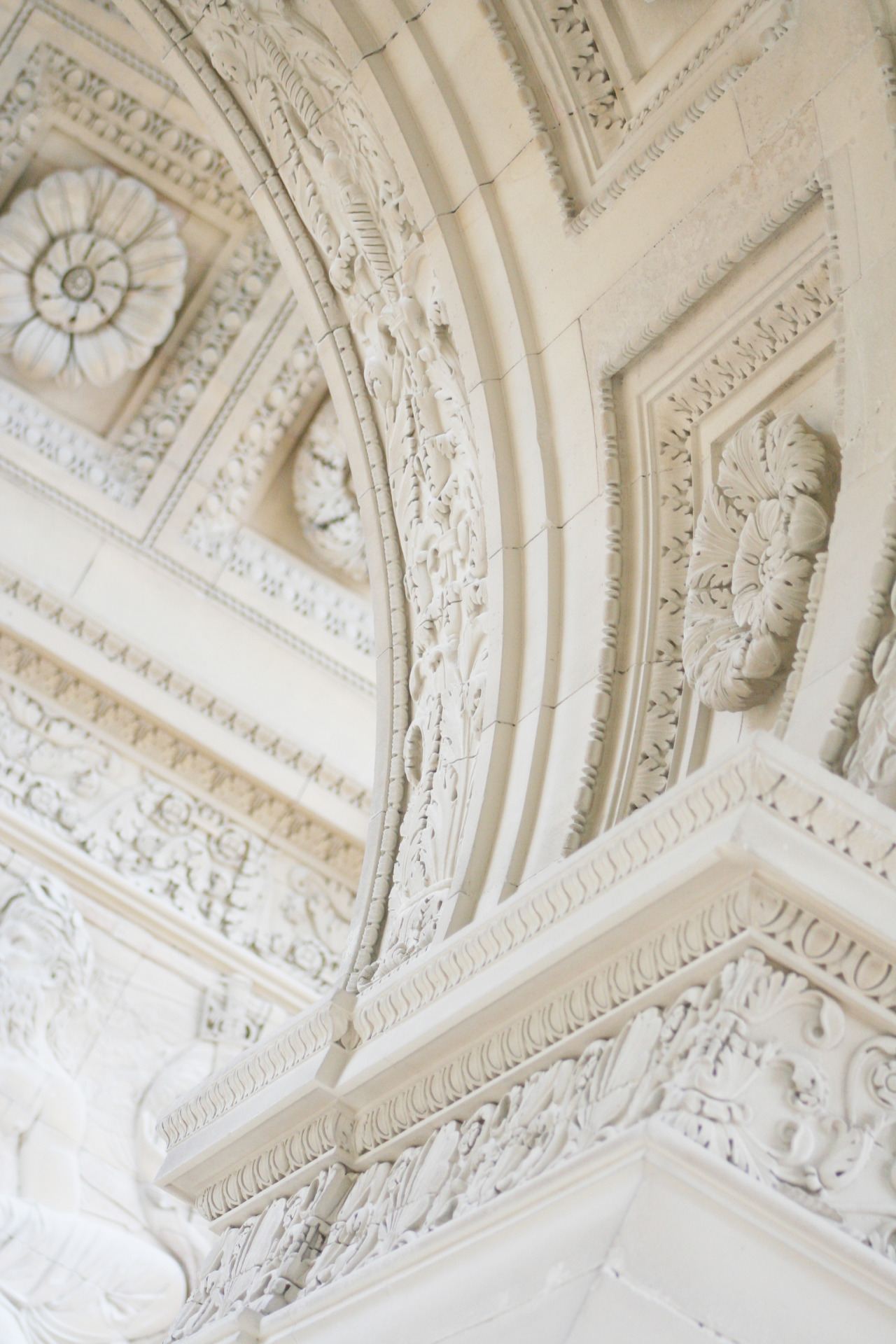 Details | MATTHEW'S ISLAND
