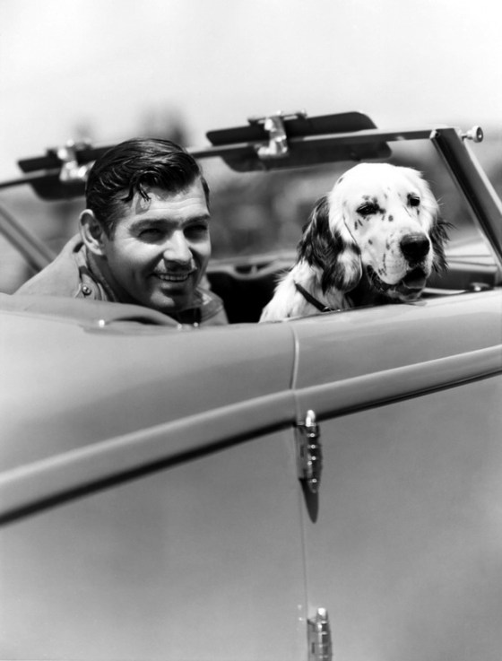 Clark Gable, with dogs | MATTHEW'S ISLAND