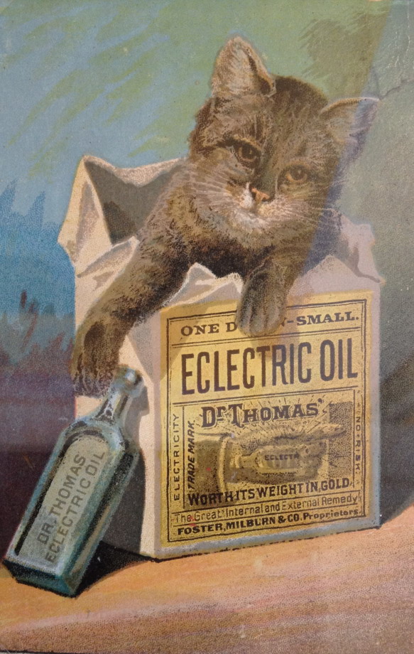 Eclectric Oil | MATTHEW'S ISLAND