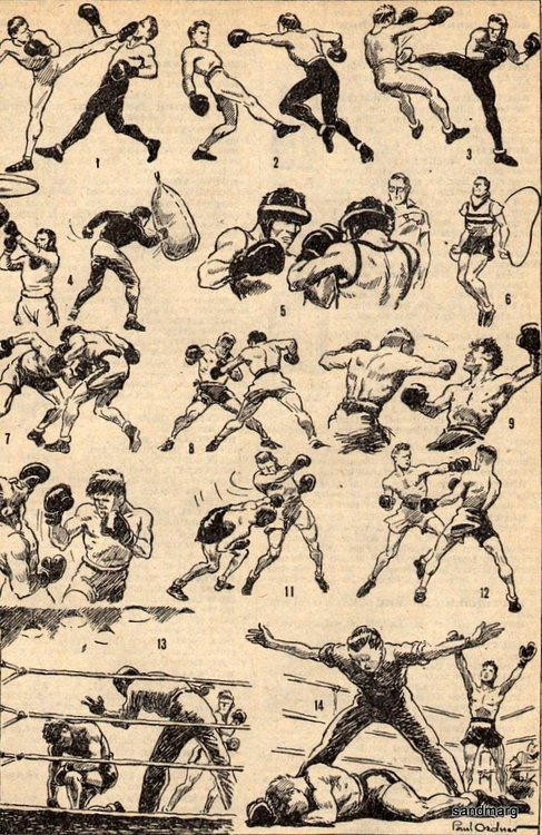 French Boxing Illustration | MATTHEW'S ISLAND