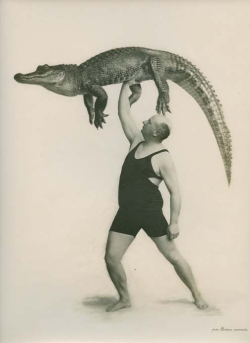 Gator Lifting | MATTHEW'S ISLAND