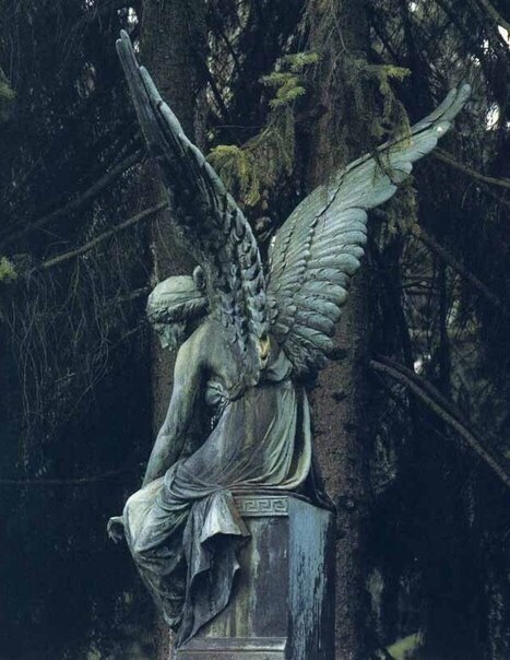 Angel statue | MATTHEW'S ISLAND