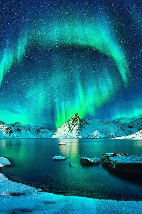 Northern Lights, Lofoten Islands, Norway | MATTHEW'S ISLAND