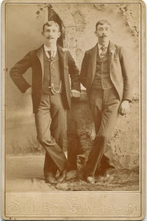 stache together 41989 | MATTHEW'S ISLAND