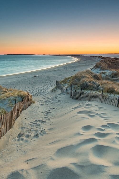 Beach | MATTHEW'S ISLAND