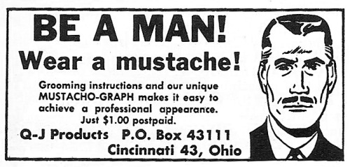 Be a man! | MATTHEW'S ISLAND