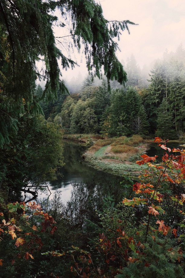 First taste of Autumn, photo by Alex Harley | MATTHEW'S ISLAND