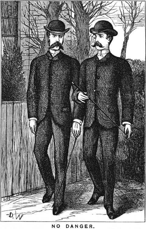 No danger | MATTHEW'S ISLAND