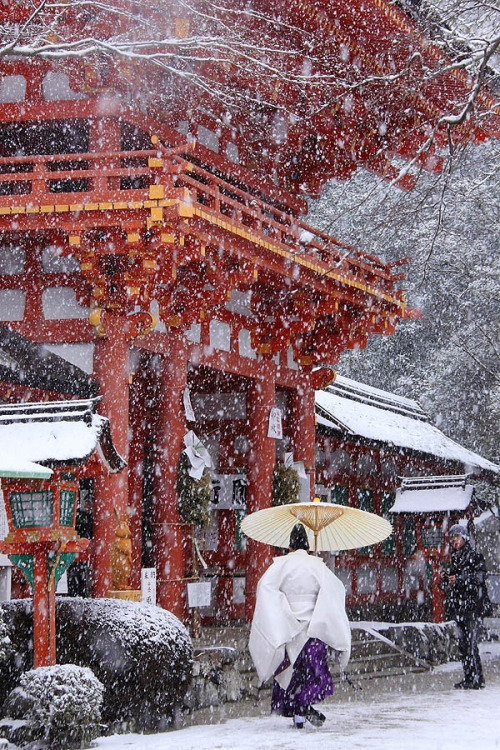 Snow in northern Japan | MATTHEW'S ISLAND