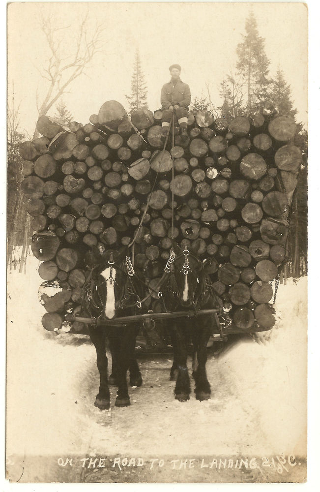 Vintage Lumberjack | MATTHEW'S ISLAND