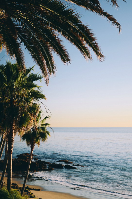 Beach | MATTHEW'S ISLAND