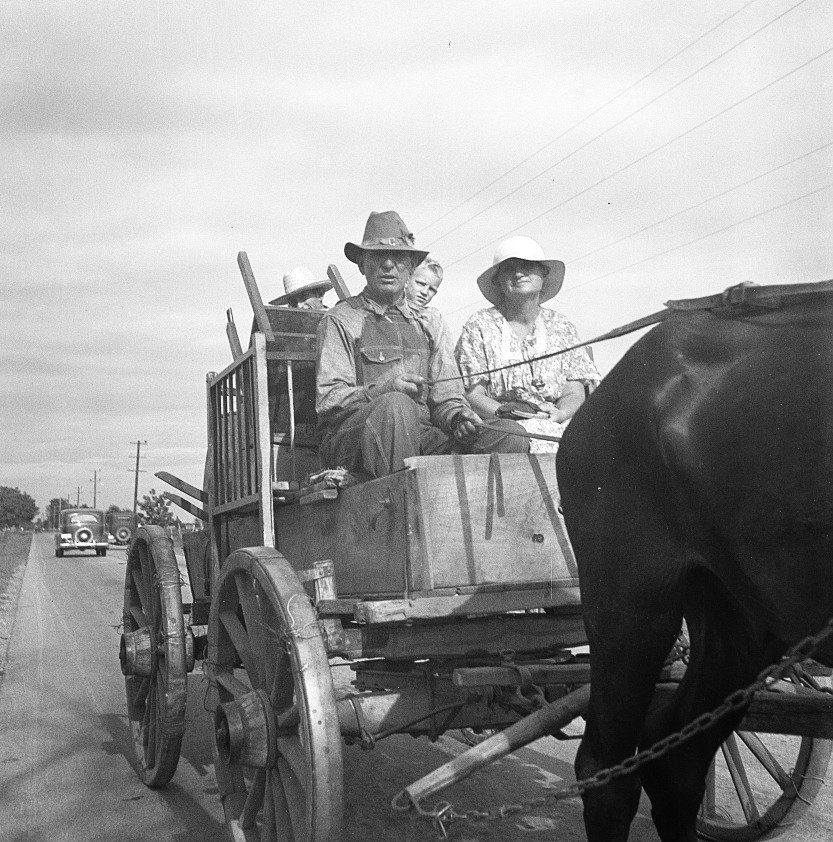 Vintage moving day photos | MATTHEW'S ISLAND