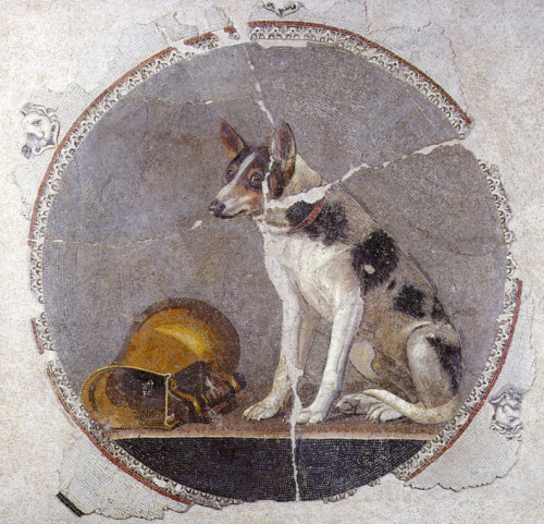 A Basenji in ancient Egyptian art | MATTHEW'S ISLAND