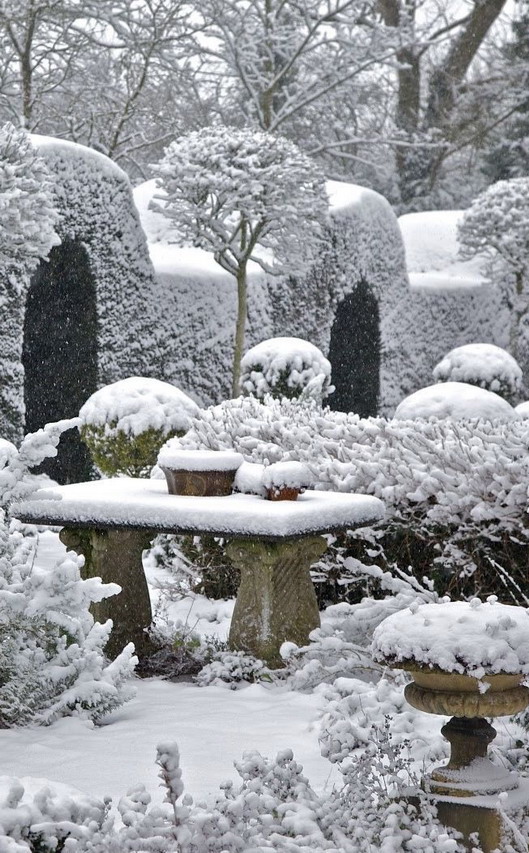 Snow in a topiary garden | MATTHEW'S ISLAND