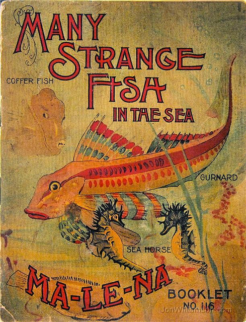 fish strange | MATTHEW'S ISLAND