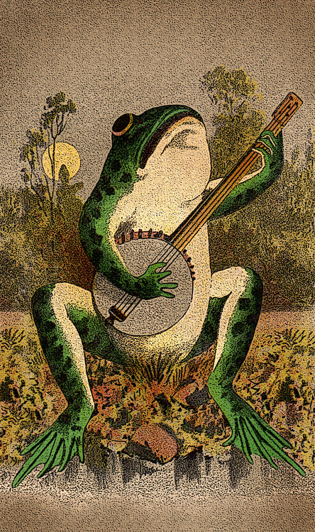 Frog and Banjo | MATTHEW'S ISLAND