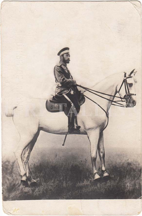 Tsar Nicholas II, and the horse he rode in on | MATTHEW'S ISLAND