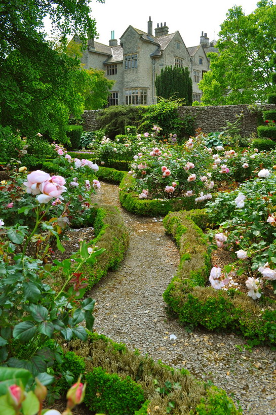 Path through a rose garden | MATTHEW'S ISLAND