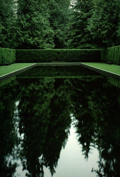 Green reflecting pool | MATTHEW'S ISLAND
