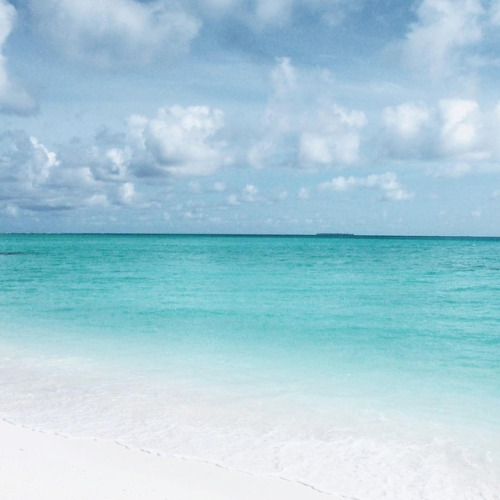 Beach | MATTHEW'S ISLAND