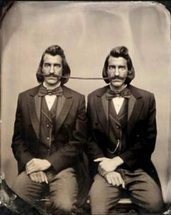 Twins with entwined mustaches | MATTHEW'S ISLAND