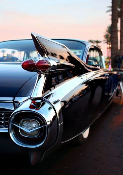 Car fins | MATTHEW'S ISLAND