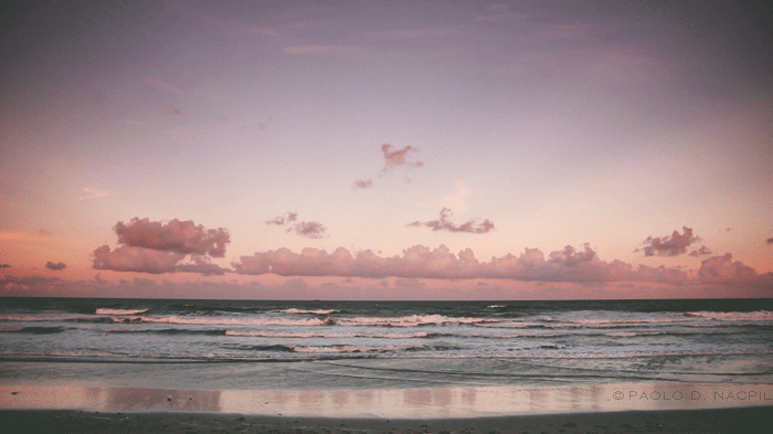Waves | MATTHEW'S ISLAND