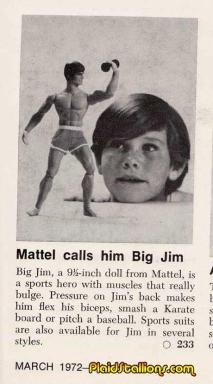 Big Jim doll, with muscles that really bulge | MATTHEW'S ISLAND