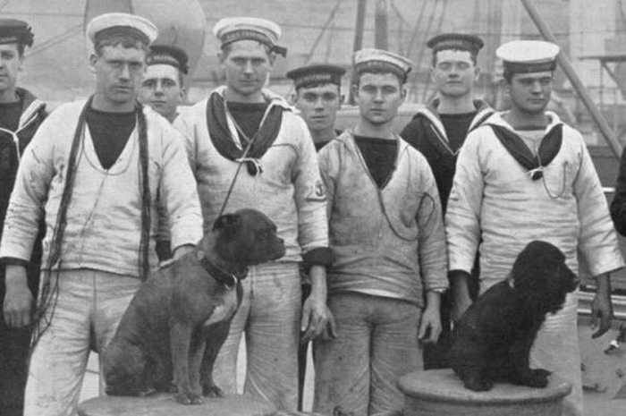 Sailors | MATTHEW'S ISLAND