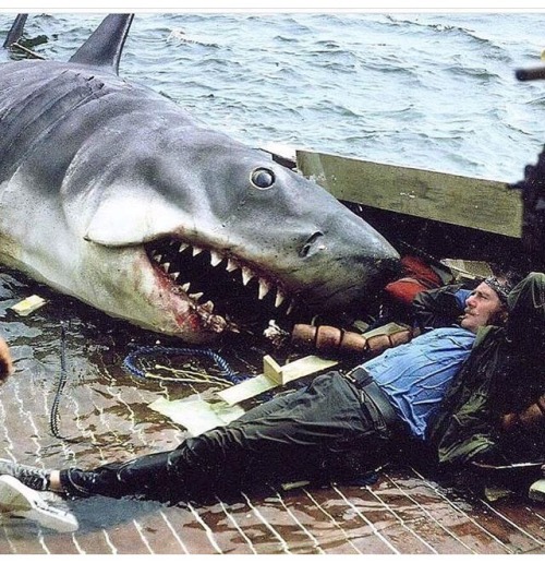 Taking a break during the filming of “Jaws” | MATTHEW'S ISLAND