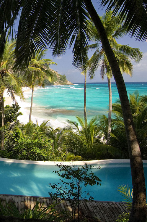 Tropical resort | MATTHEW'S ISLAND