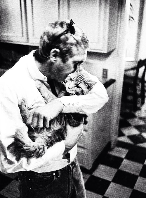 Steve McQueen with his kitty | MATTHEW'S ISLAND