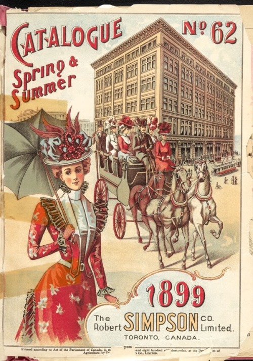 Simpson’s, Toronto, 1899 | MATTHEW'S ISLAND