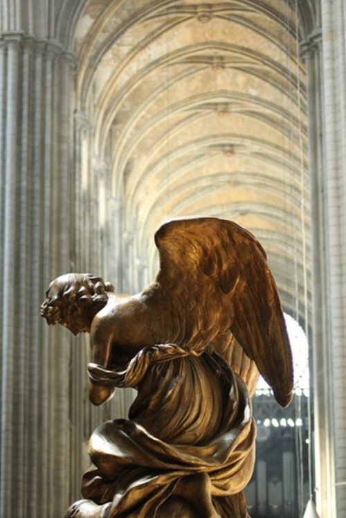 angels 402 | MATTHEW'S ISLAND