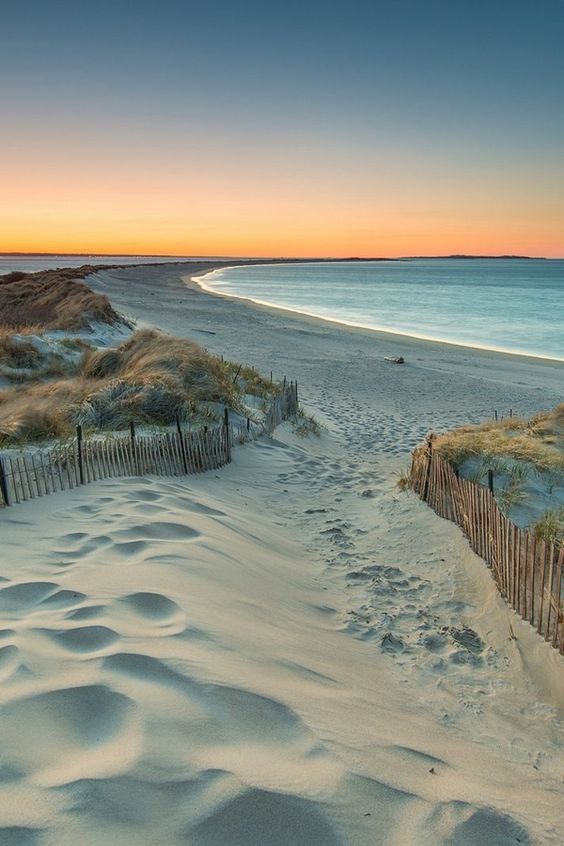 Beach | MATTHEW'S ISLAND