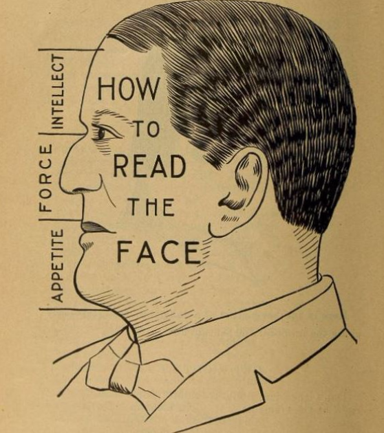 How to read the face | MATTHEW'S ISLAND