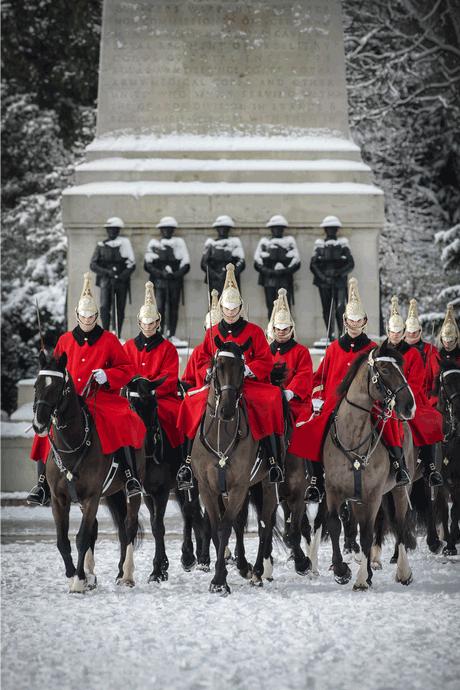 Horse Guard | MATTHEW'S ISLAND