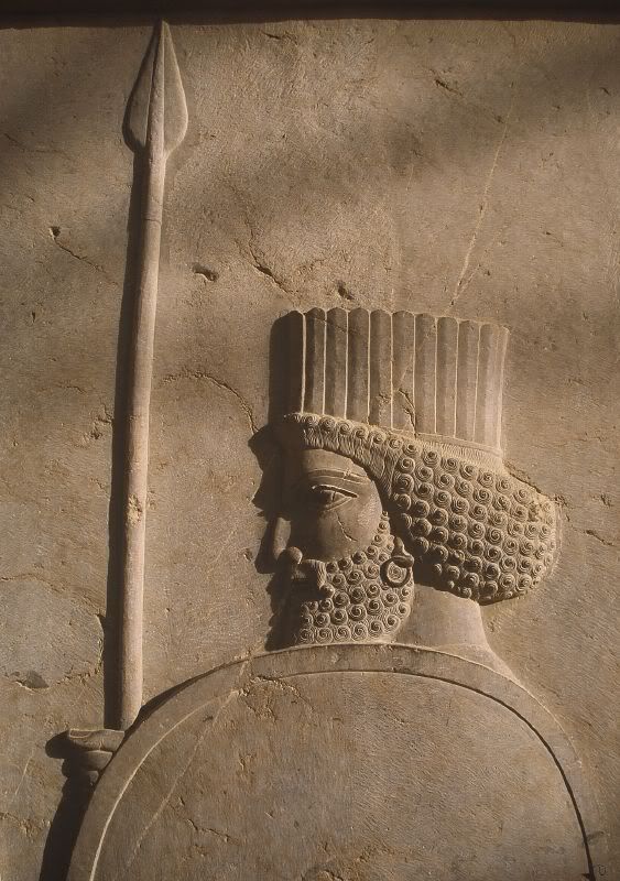 Relief of an ancient Persian soldier from Persepolis, one of the ...