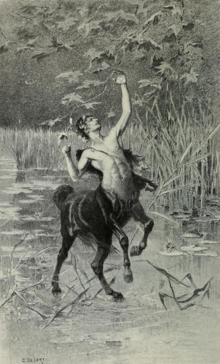 Centaur | MATTHEW'S ISLAND