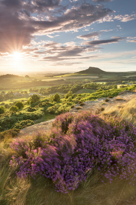 Cockshaw Hill by Ian Burton | MATTHEW'S ISLAND