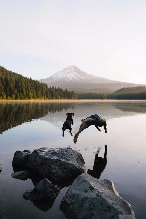 Jumping into a lake | MATTHEW'S ISLAND