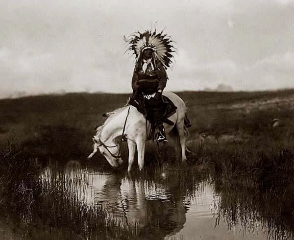 A Cheyenne Chief, 1905 | MATTHEW'S ISLAND