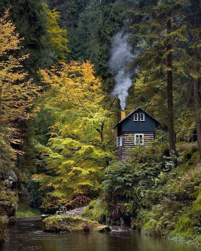 Lone house in the woods | MATTHEW'S ISLAND