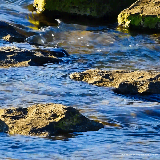 Stream GIF | MATTHEW'S ISLAND